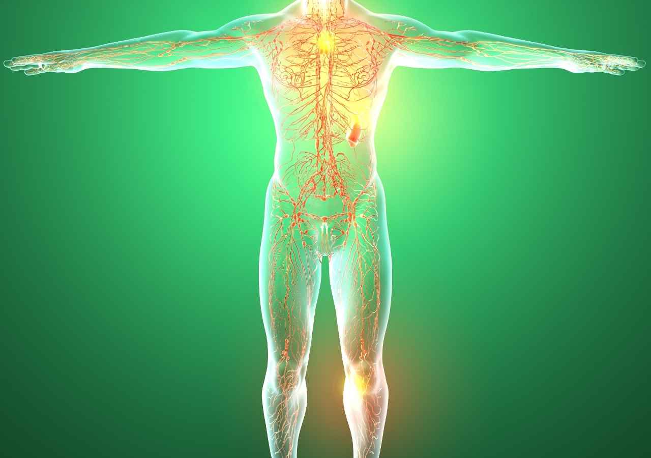 Tissues Of The Body Integrative Wellness Podcast El Paso Texas tissues-of-the-body-integrative-wellness-podcast-el-paso-texas