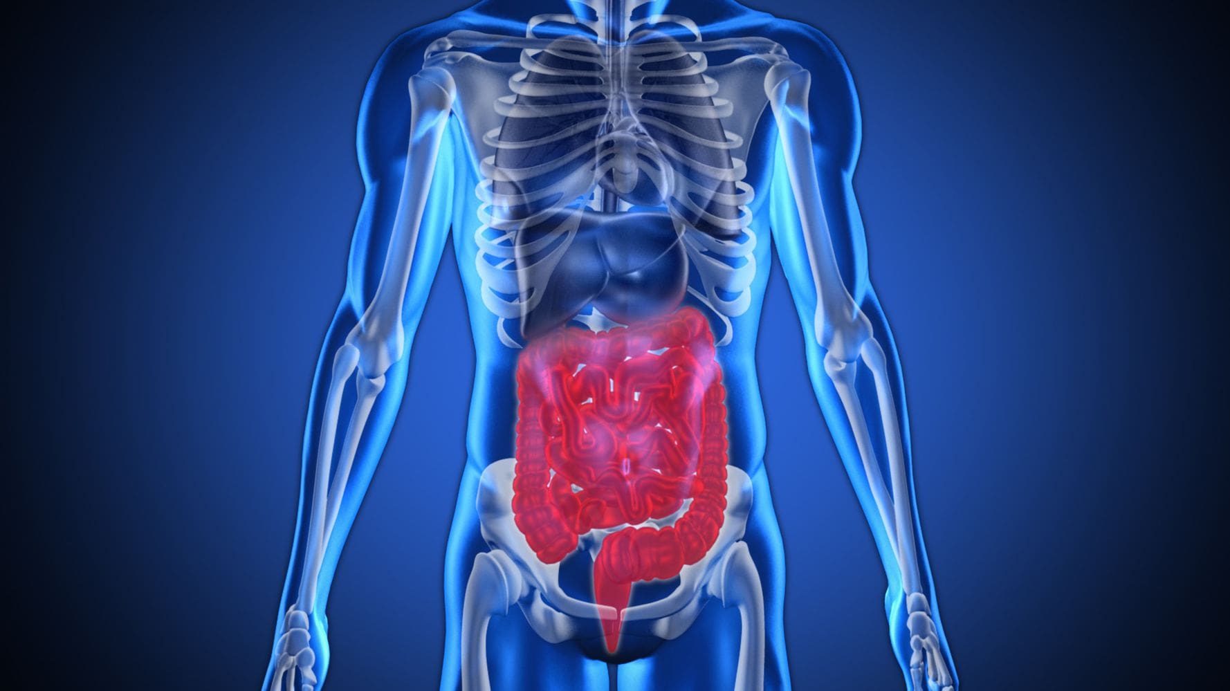 How Sterolbiome & Bile Reflux Affect The Gut | Part 2 - Integrative ...
