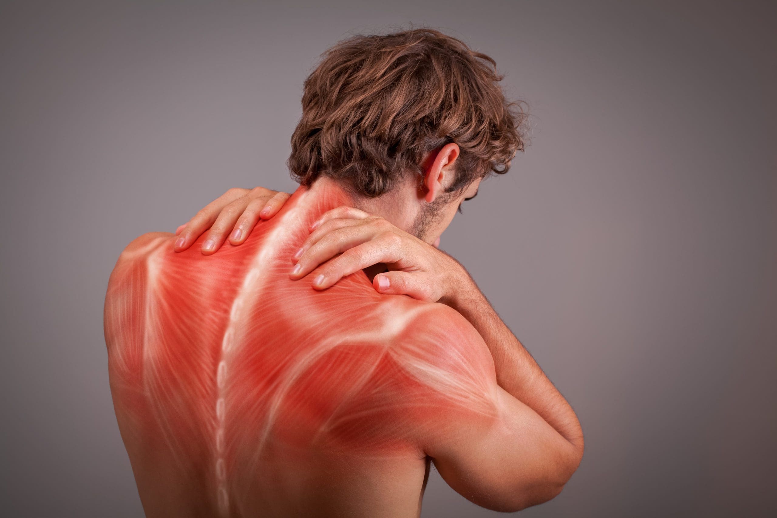 The Role Of Central Sensitization In Myofascial Pain Syndrome ...